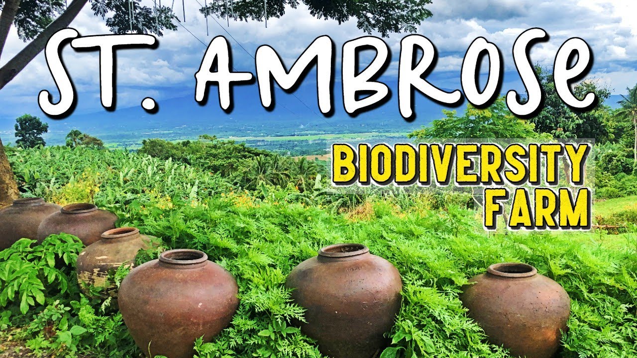 Trek to St. Ambrose Biodiversity Farm - YouTube