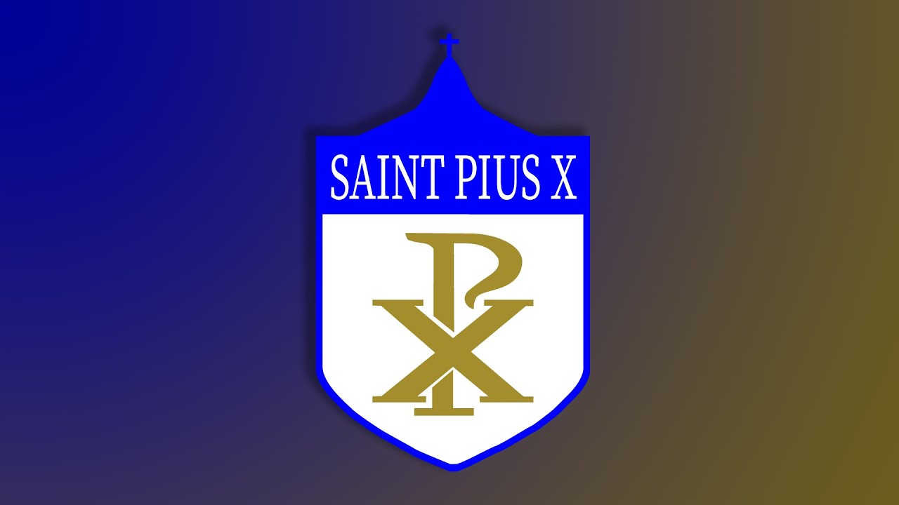 June 30th, 2024, Saint Pius X, 13th Sunday of Ordinary Time - YouTube