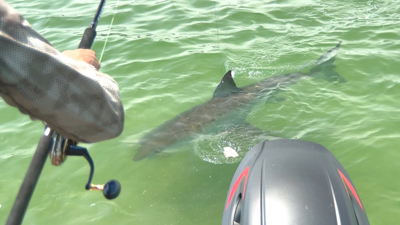 How to Make a Shark Fishing Trace - YouTube