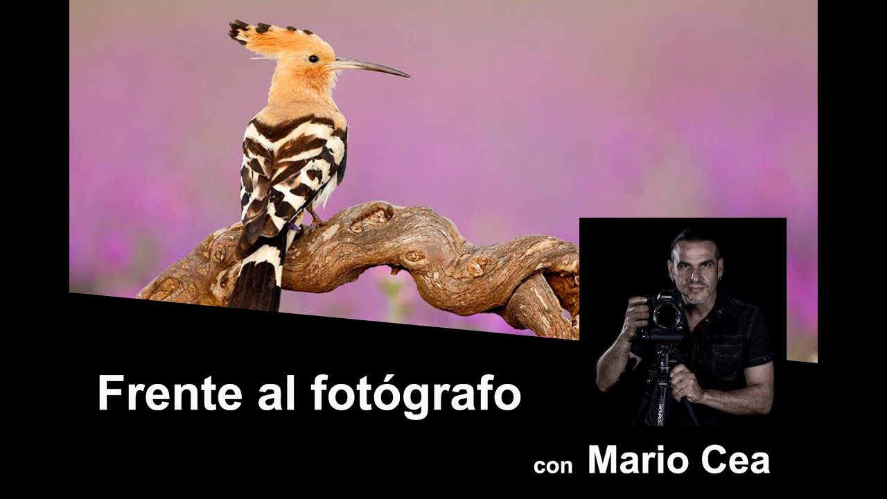 Frente al fotógrafo con Mario Cea - YouTube