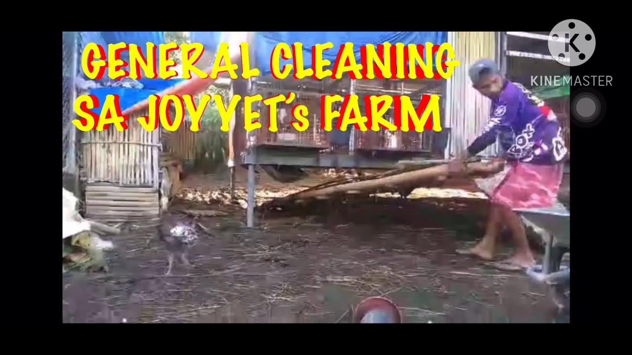 GENERAL CLEANING SA JOYYET’s FARM - YouTube