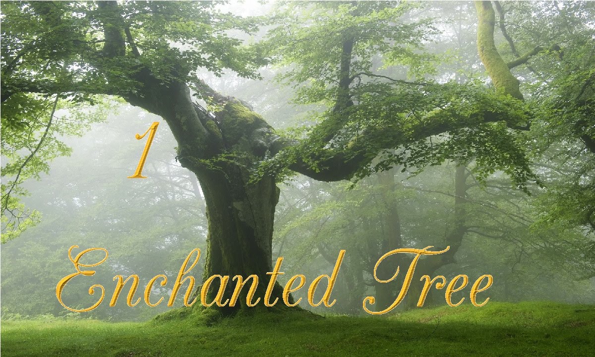 [MC: Timelapse] The Enchanted Tree - Part 1: Growth - YouTube