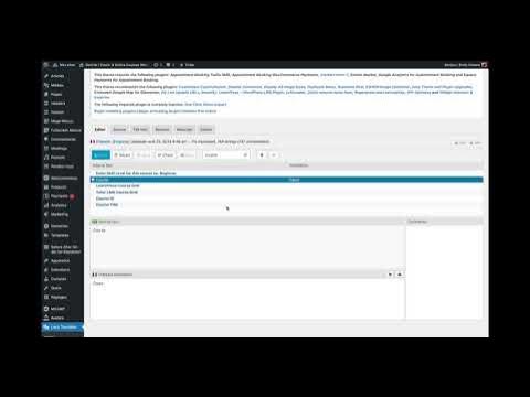 DotLife WordPress Theme - How to translate theme strings - YouTube