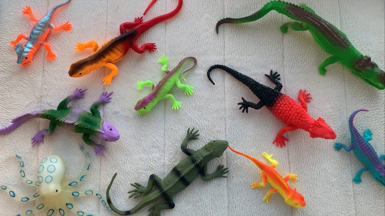 Learn Lizards for kids in English Funny cartoon - YouTube