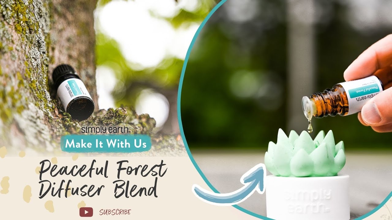 Peaceful Forest Diffuser Blend Recipe - YouTube