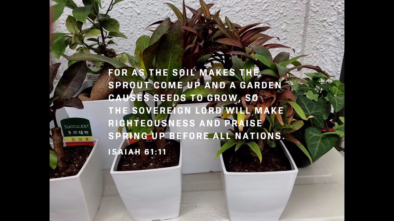 Isaiah‬ ‭61:11‬ - YouTube