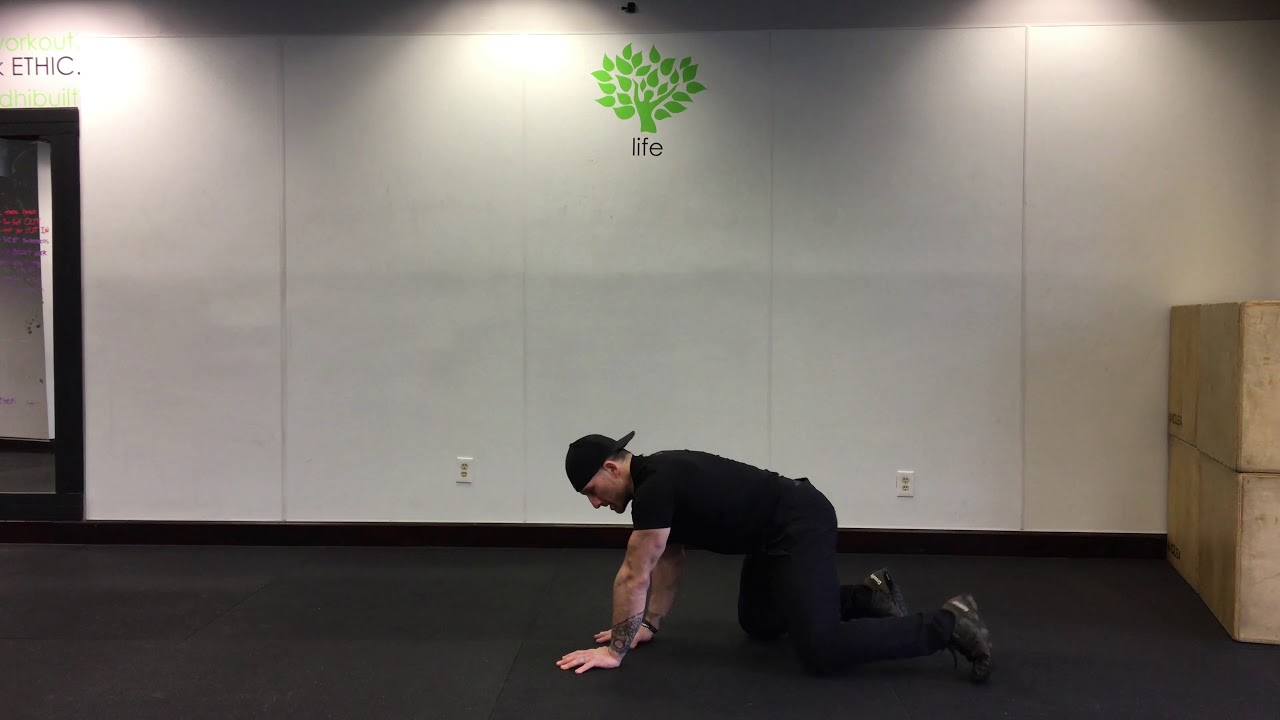 plank shoulder knee tap exercise - YouTube