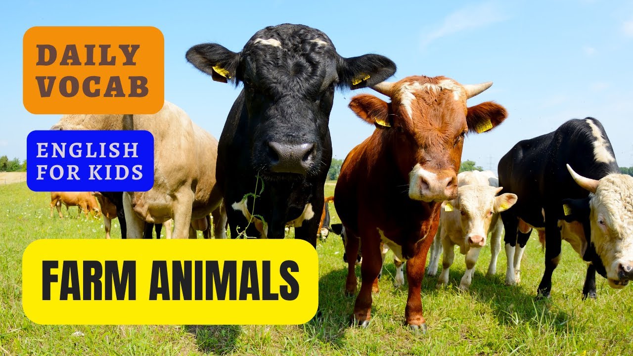 FARM ANIMALS || DAILY VOCAB || LEARNING ENGLISH FOR KIDS ||EDUCATIONAL ...