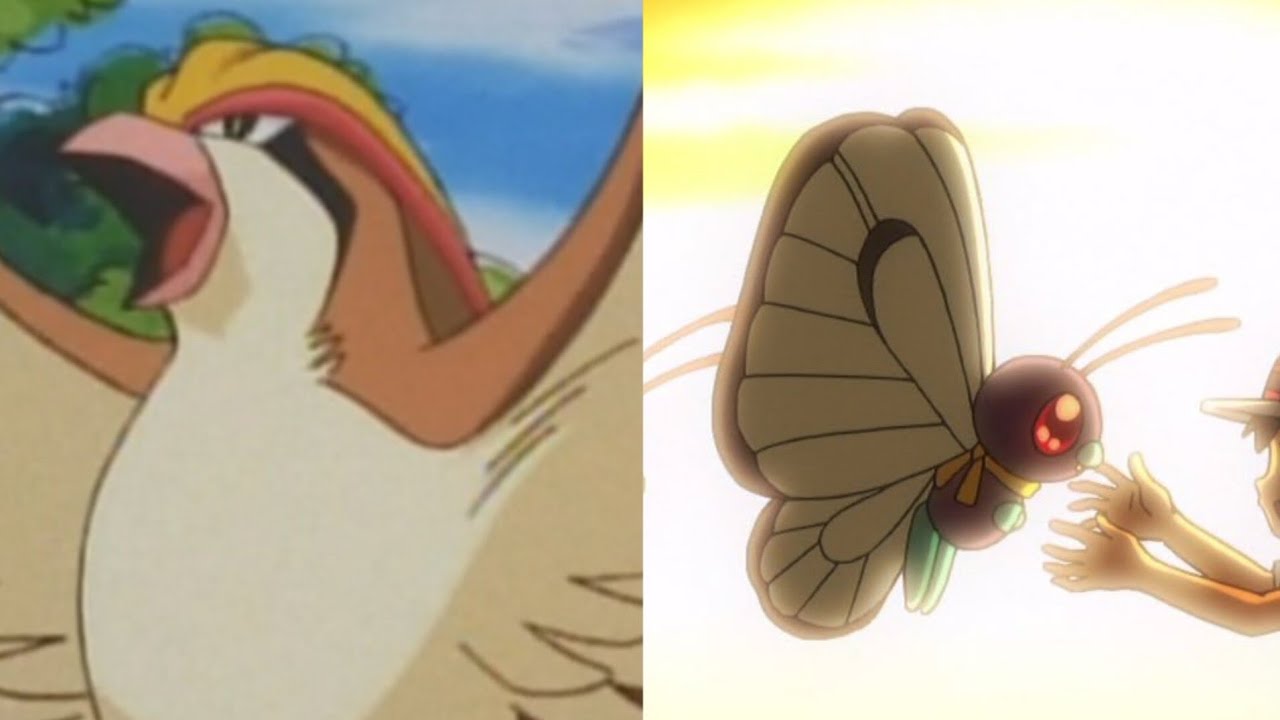 Regresarán El Pidgeot de Ash y El Butterfree de Ash en el Episodio ...