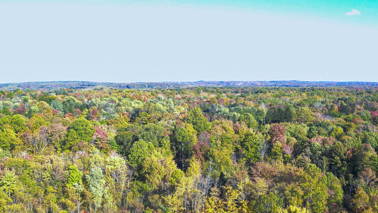 Ohio Fall Colors! Cinematic Drone 4k Video - YouTube