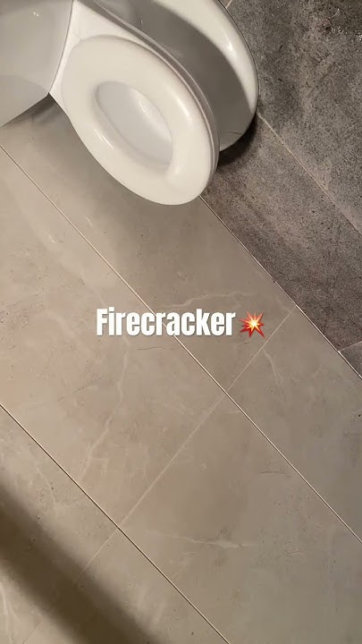 Firecracker on the toilet 🚽 - YouTube