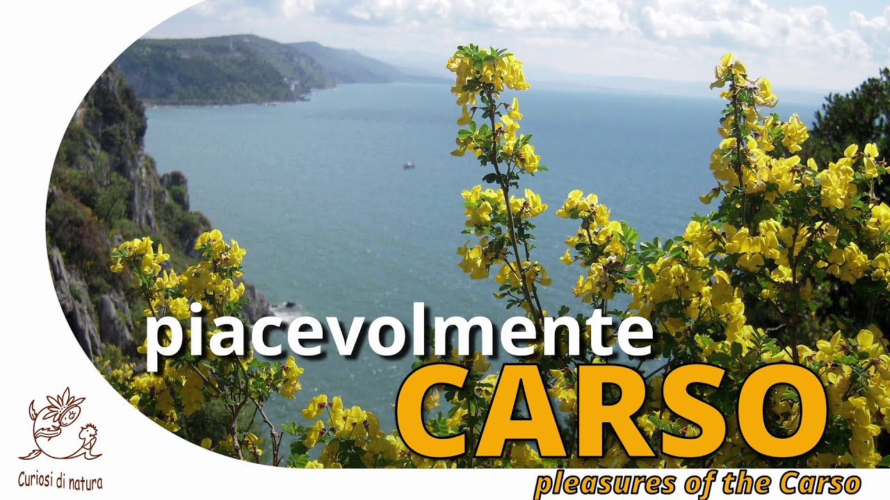 Piacevolmente Carso: hikes around Trieste, Gorizia and Slovenia. With ...