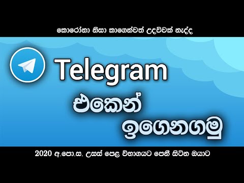 How to learn with Telegram ( TeamOne Learning Telegram Groups ) / Mr.Doctor - YouTube