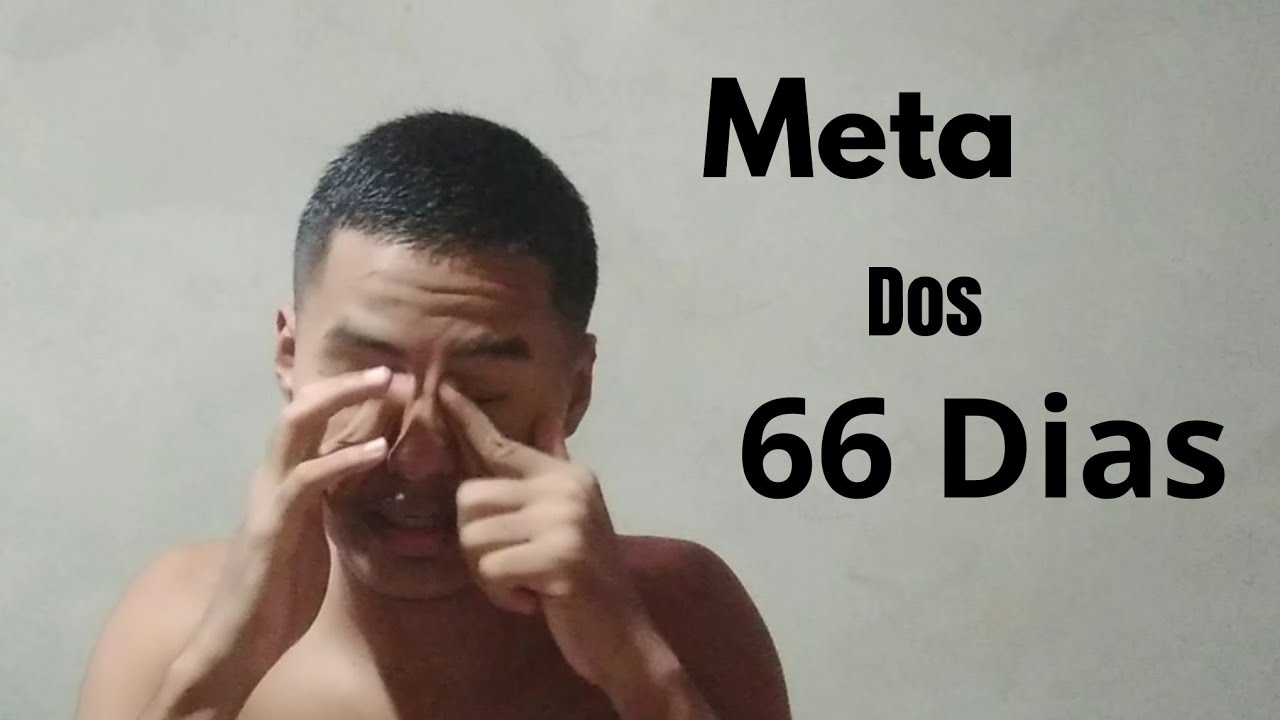 a META Dos 66 DIAS!!! #proposito #motivação #fealvessn #renatocariani # ...