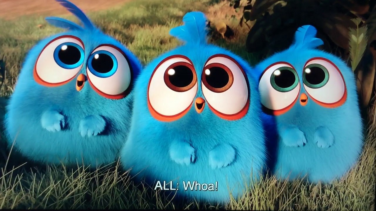 The Angry Birds Movie End Credits (English Audio Description) - YouTube