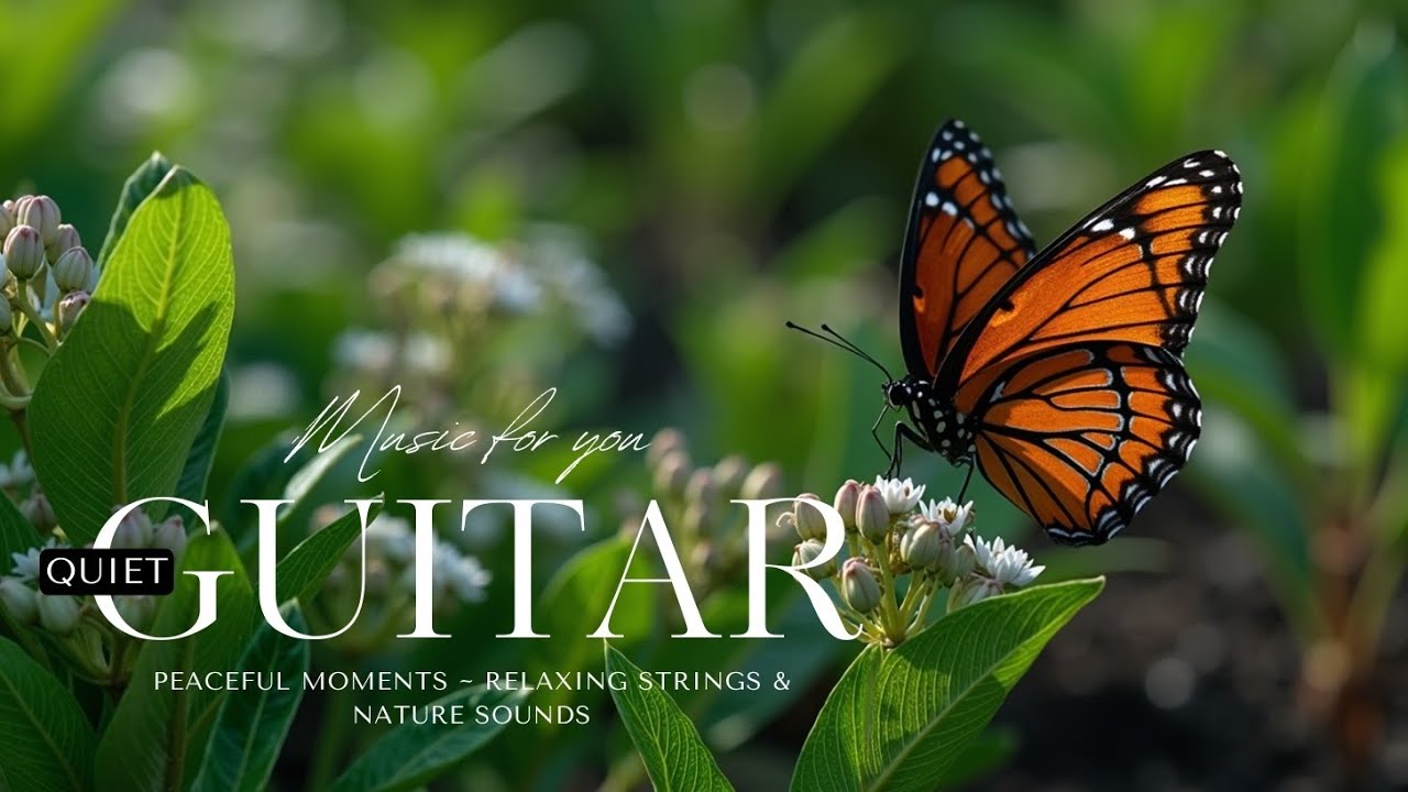 Quiet Guitar for Peaceful Moments ~ Relaxing Strings & Nature Sounds ...