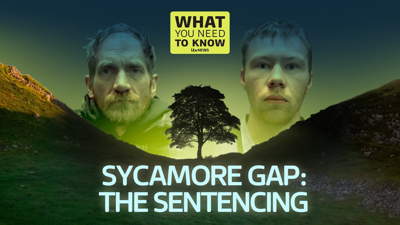 Sycamore Gap vandals sentenced: what you need to know | ITV News - YouTube