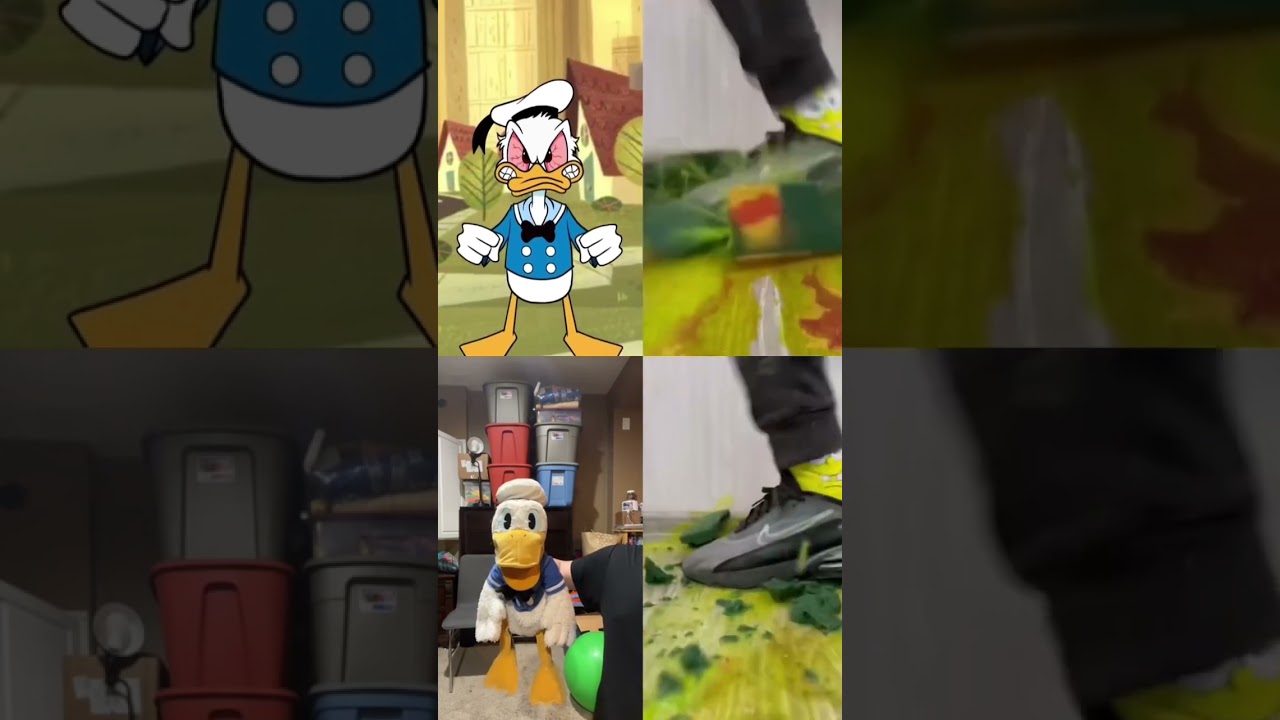 Donald Ducc VS Donald Ducc Animation #shorts Realtime YouTube Live View ...