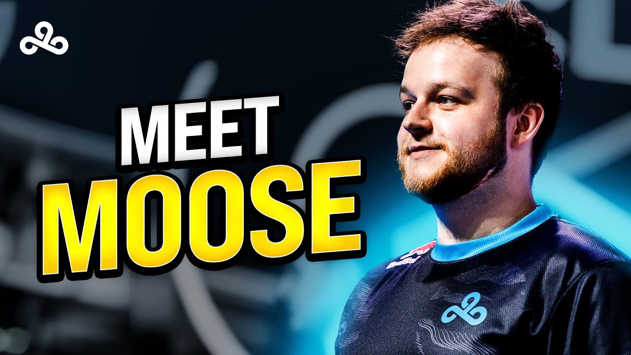 10 Things You Didn't Know About Moose - YouTube