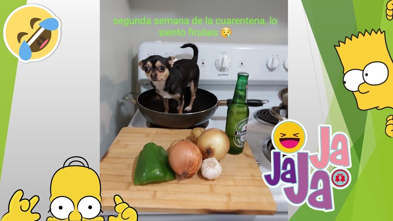 "Videos de Memes de Risa" 😂 nuevos 2020 😂 Recopilación de Memes ...