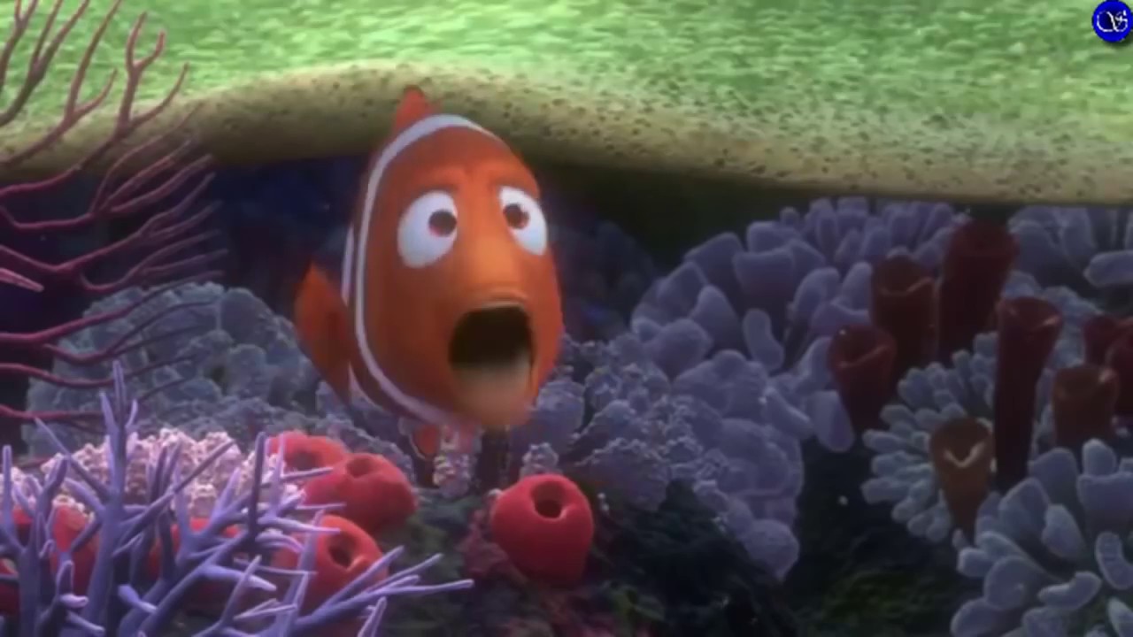 Buscando a Nemo Trailer Español Latino - YouTube