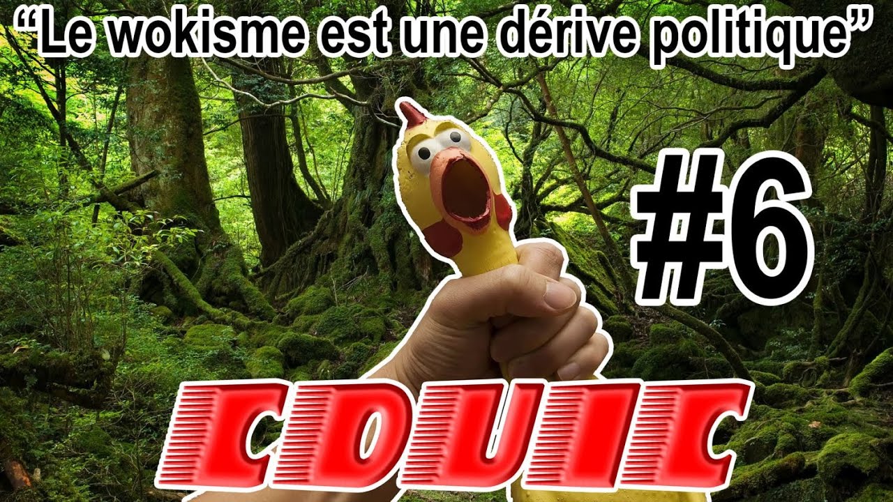 Couic #6 - Le wokisme - YouTube