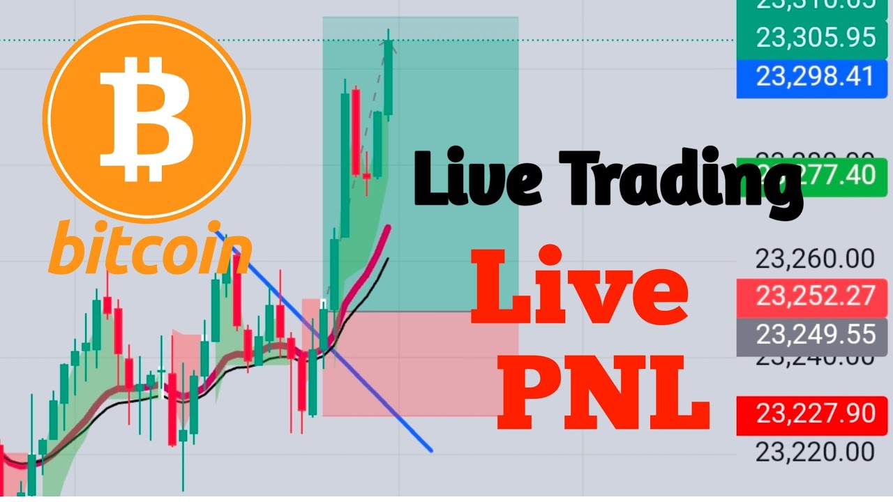 BTC Live Trading PNL live - YouTube