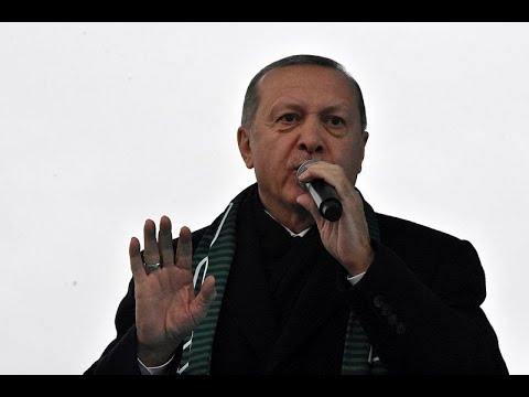 Erdoğan'dan Fatih Portakal'a tepki: Portakal mıdır narenciye midir nedir? | A Haber