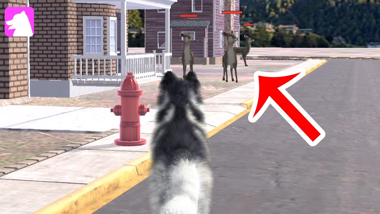 Simulation game as a husky dog | Simulation game | Android Gameplay ...