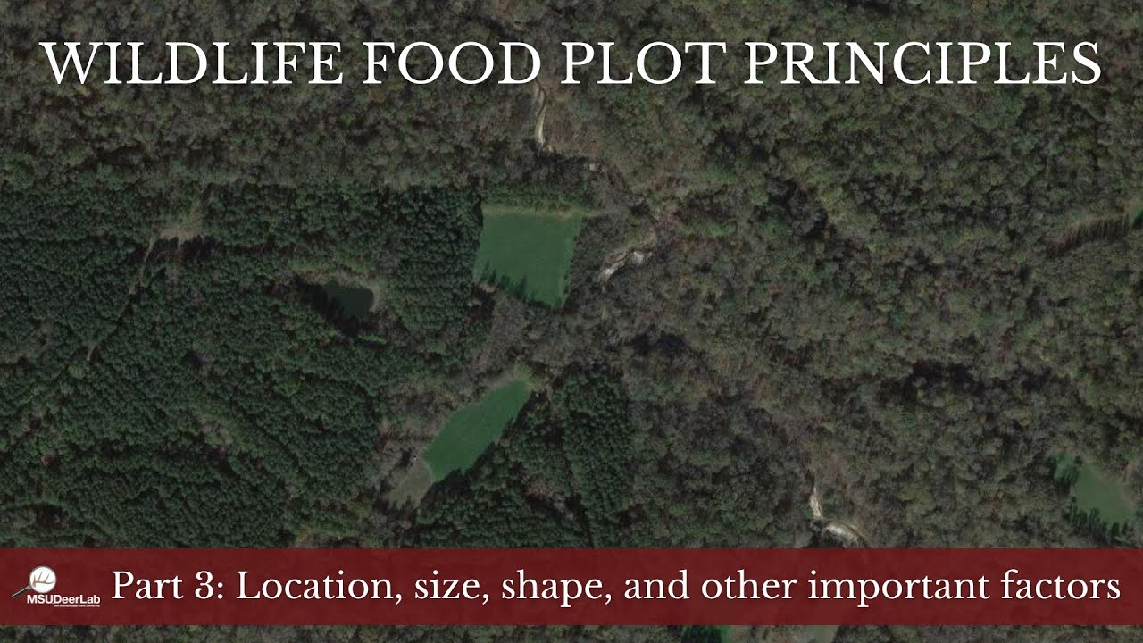 Food Plot Principles Part3 - YouTube