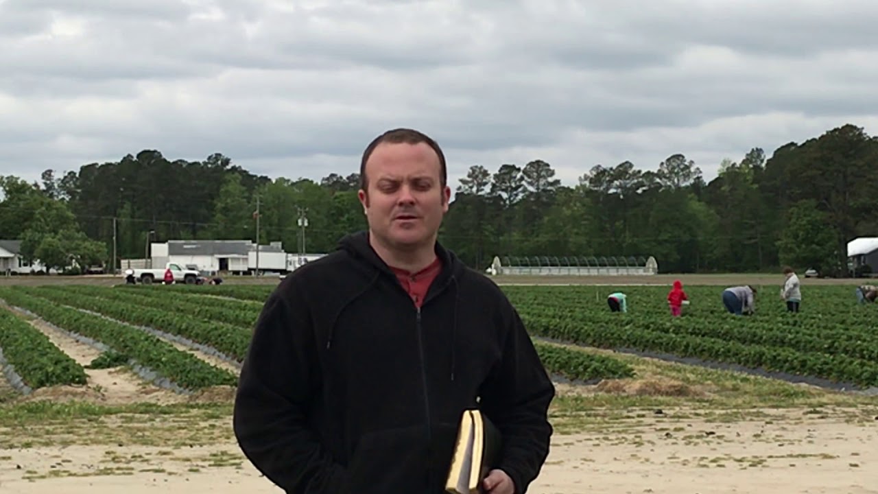 Check in from Bunce Brorhers farm - YouTube