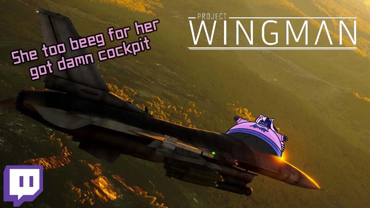 We Love Prez | Project Wingman - YouTube