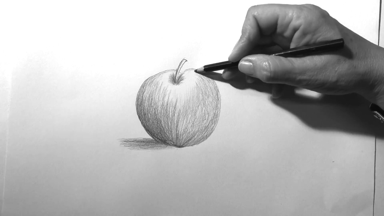 Time-lapse Drawing | Apple in Pencil | City Academy - YouTube