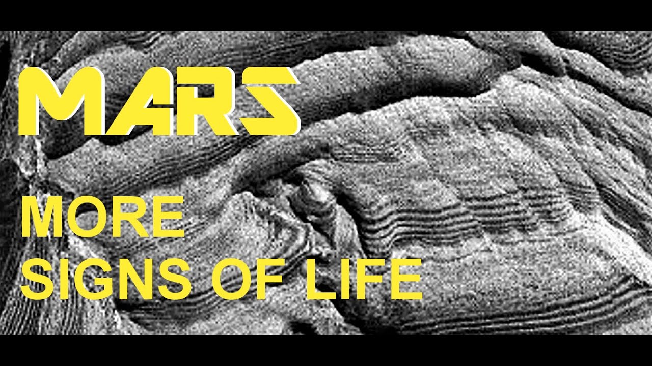 MARS SIGNS OF LIFE - YouTube