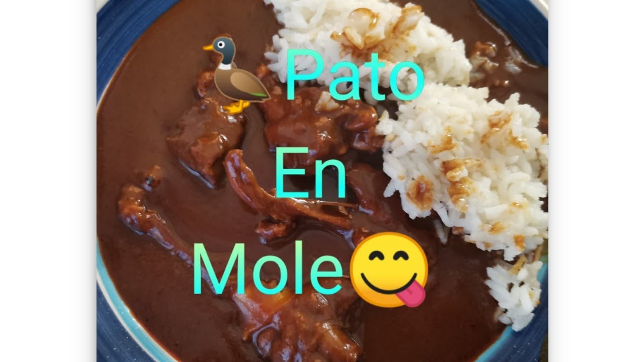 Cómo hacer un pato en mole!!! Fácil rápido y muy rico🦢🦆 - YouTube