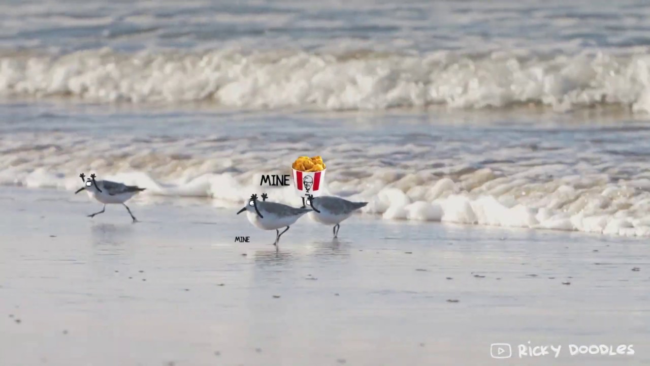 When you want some fried chicken | Birds with arms - YouTube