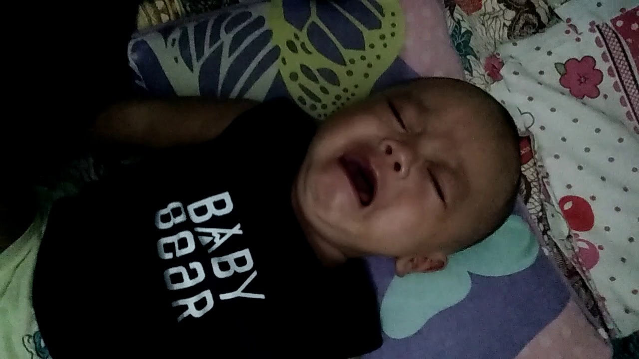 Baby Bear Crying - YouTube