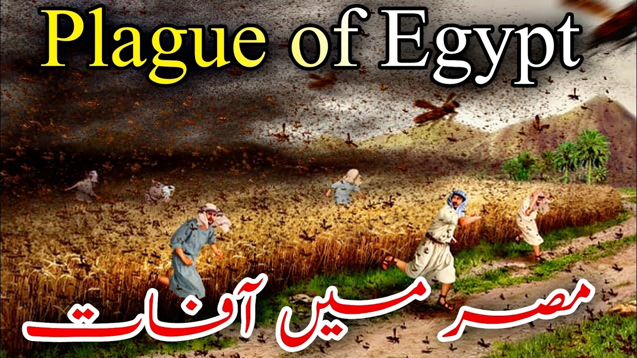 Exodus 10 | The Ten Commandments | bible stories in Hindi | Urdu bible ...