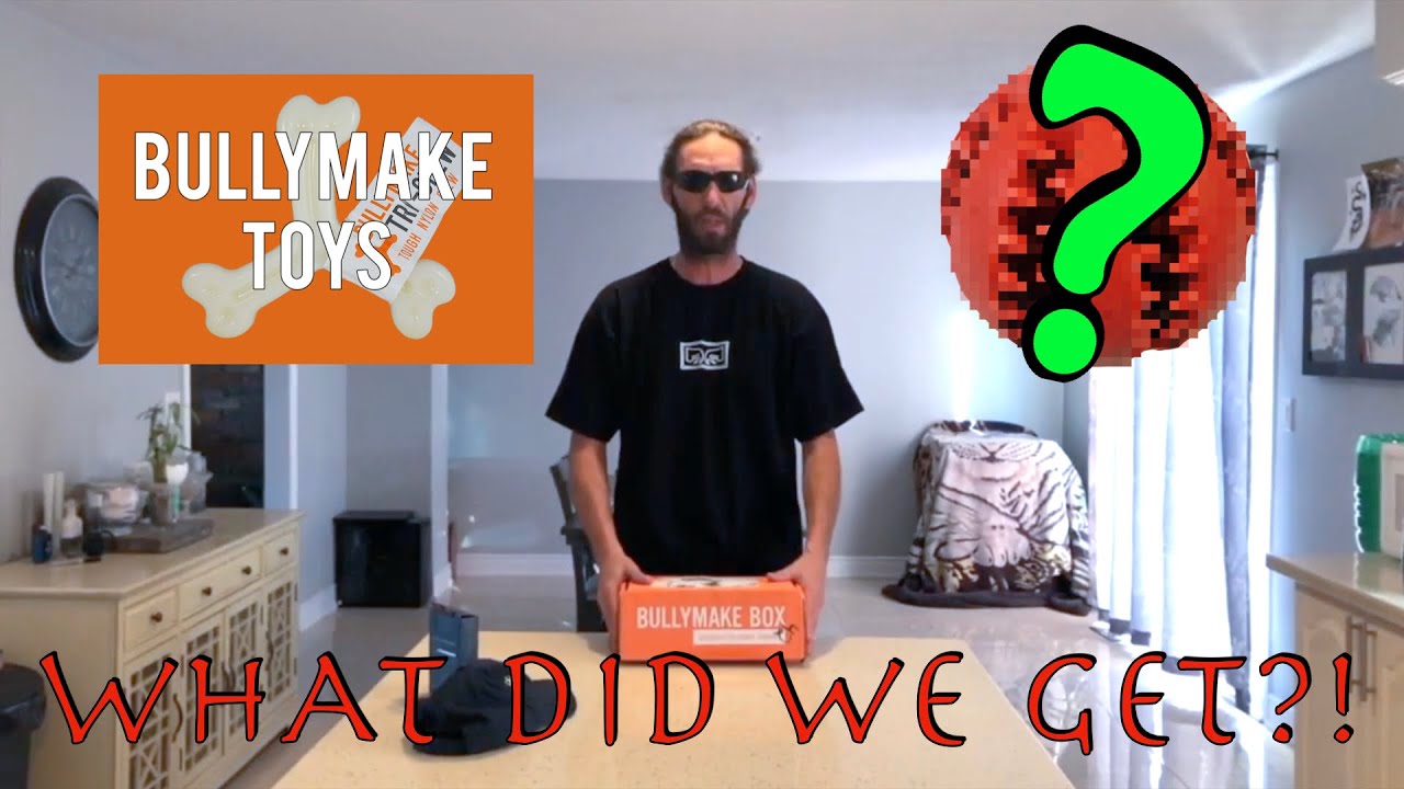 BULLYMAKE BOX UNBOXING | SGU - YouTube