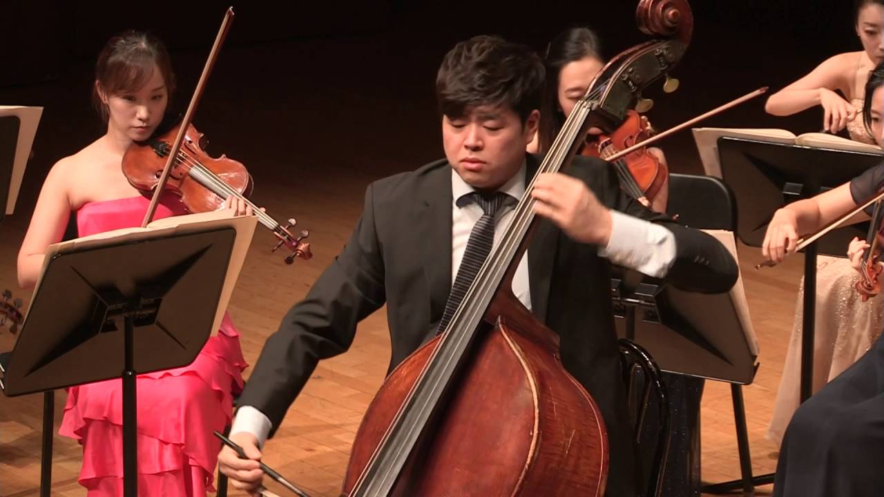 G. Bottesini - Allegro di Concerto 'Alla Mendelssohn' - YouTube