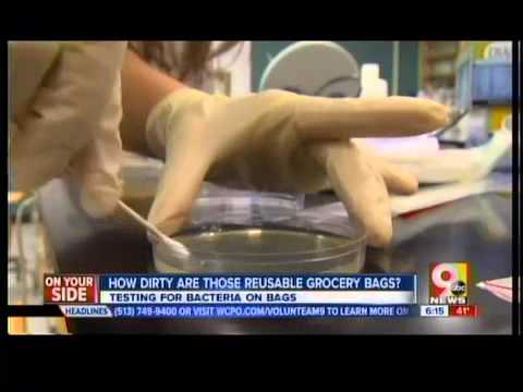 How dirty are reusable grocery bags? - YouTube