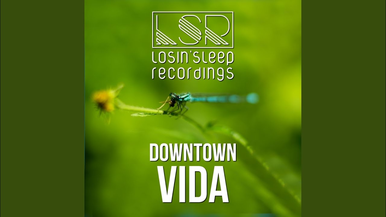 Vida (Original Mix) - YouTube Music