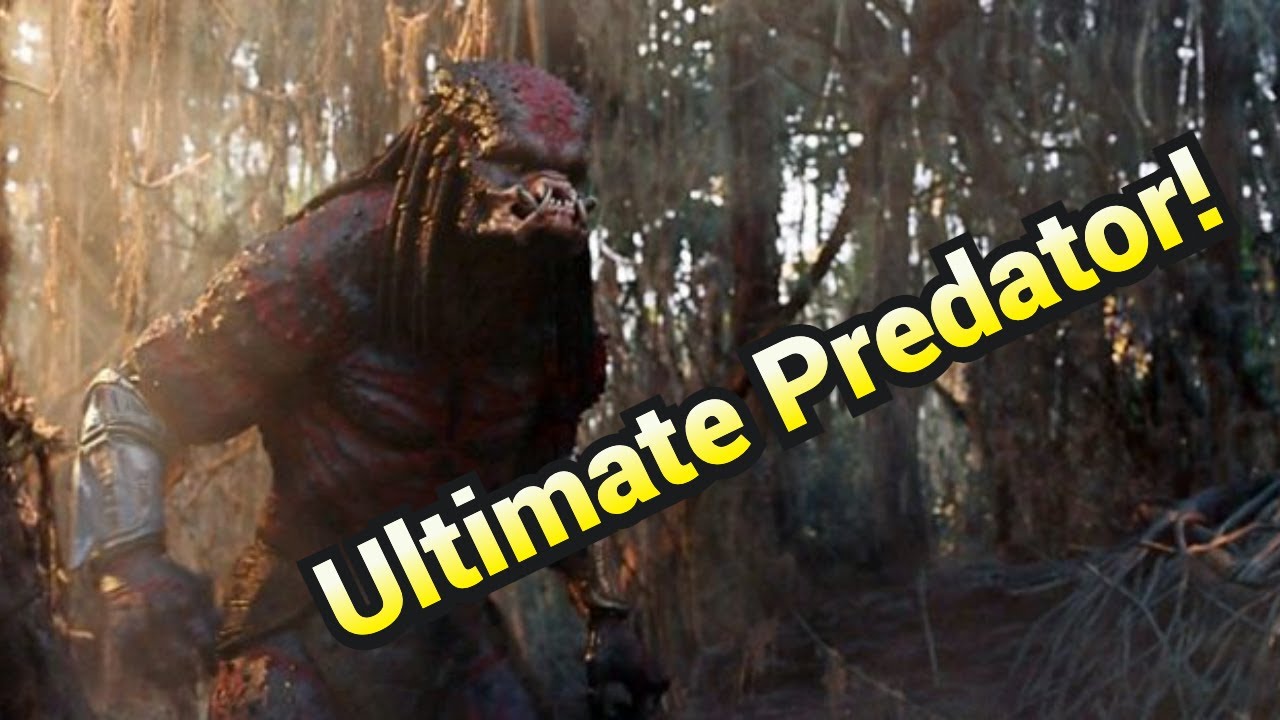 The Ultimate Predator? - YouTube