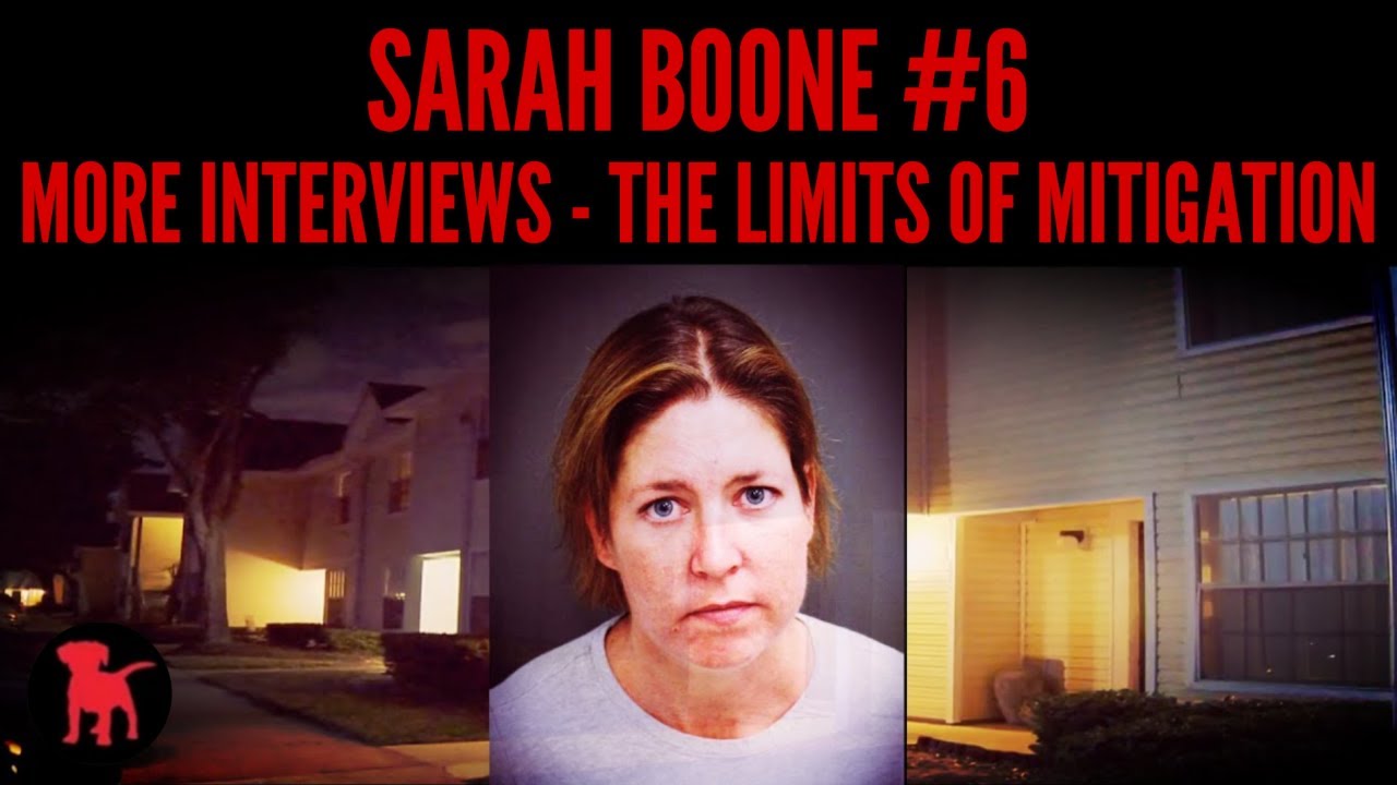 SARAH BOONE #6 - MORE INTERVIEWS - 'THE LIMITS OF MITIGATION' - WITH ...