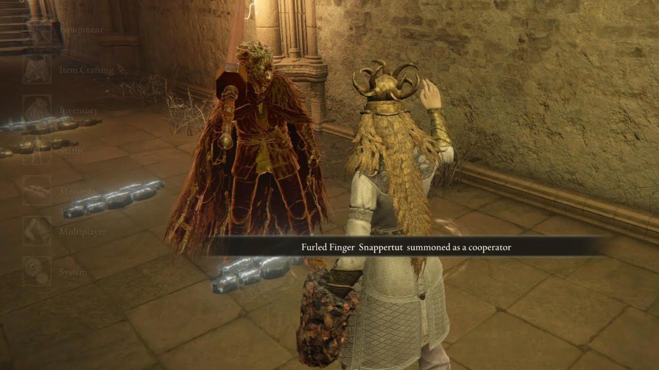 When You Met Fellow Unga-Bunga in Malenia Co-op - YouTube