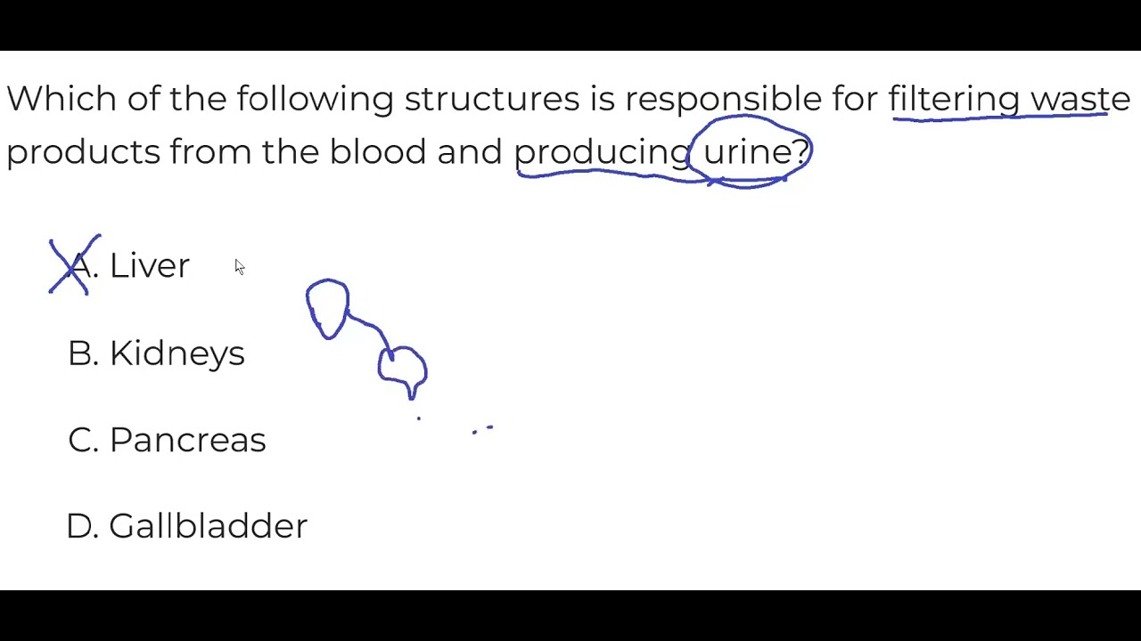 CCMA Question Domain 2 - YouTube