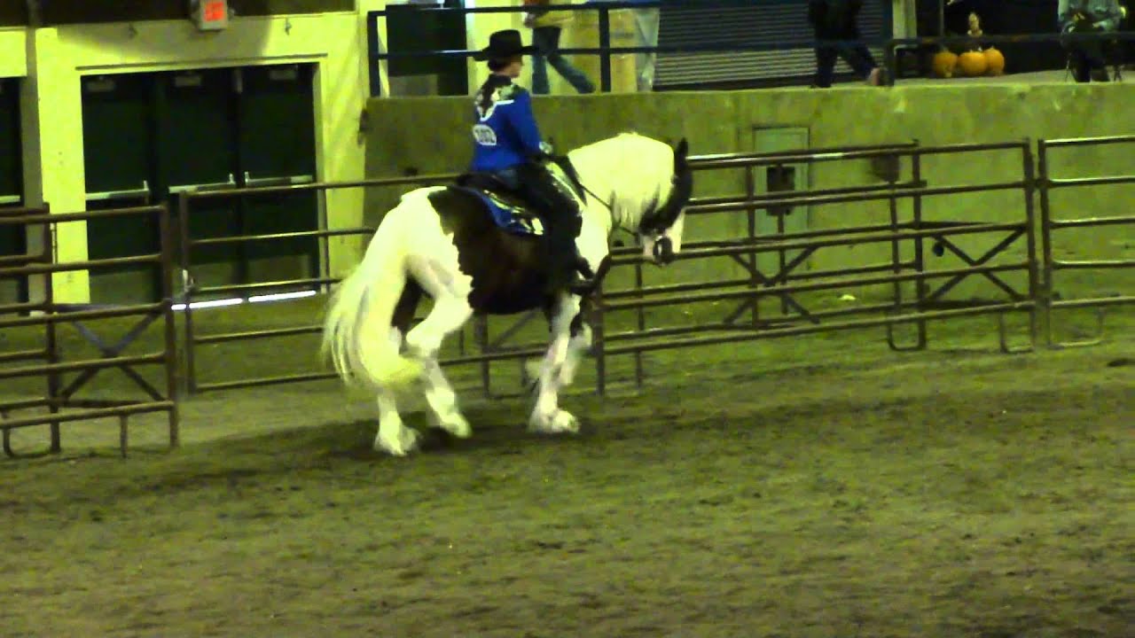 Gideon and Margo ---- Gypsy Affaire 10-20-12 - YouTube