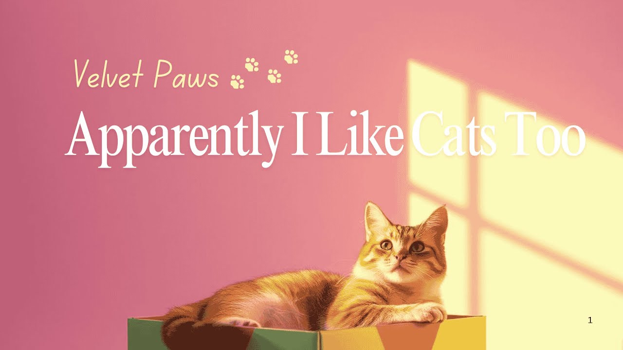 Velvet Paws | Apparently I Like Cats Too - YouTube