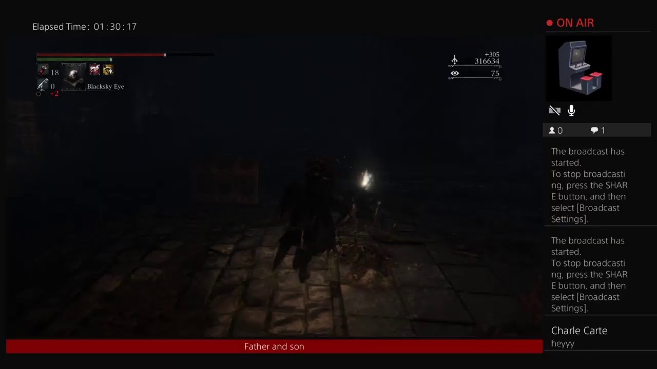 Bloodborne Death Montage ep 1 - YouTube