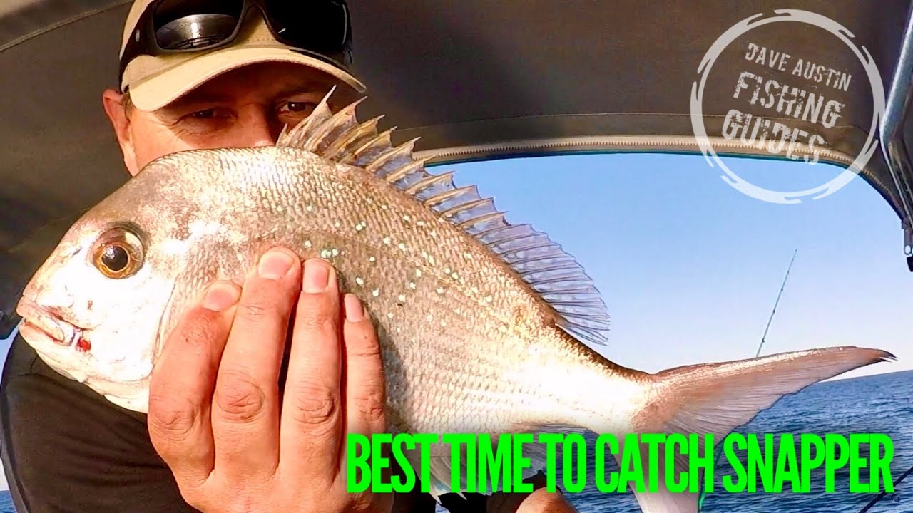 Best Time To Catch Snapper Fishing - YouTube